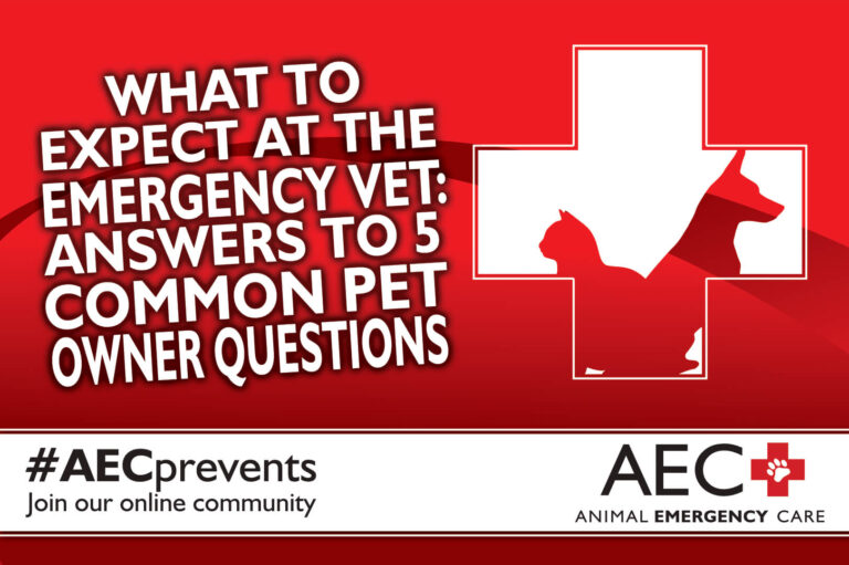 What to Expect at the Emergency Vet - Animal Emergency Care (AEC ...