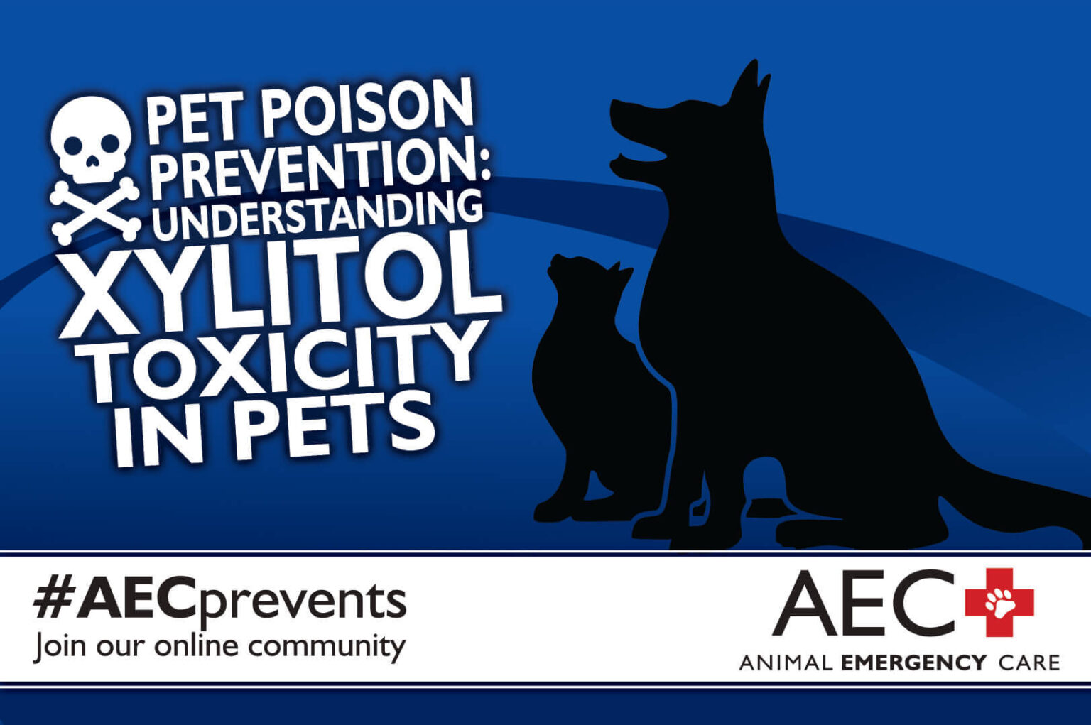 Pet Poison Prevention: Understanding Xylitol Toxicity in Pets - Animal ...