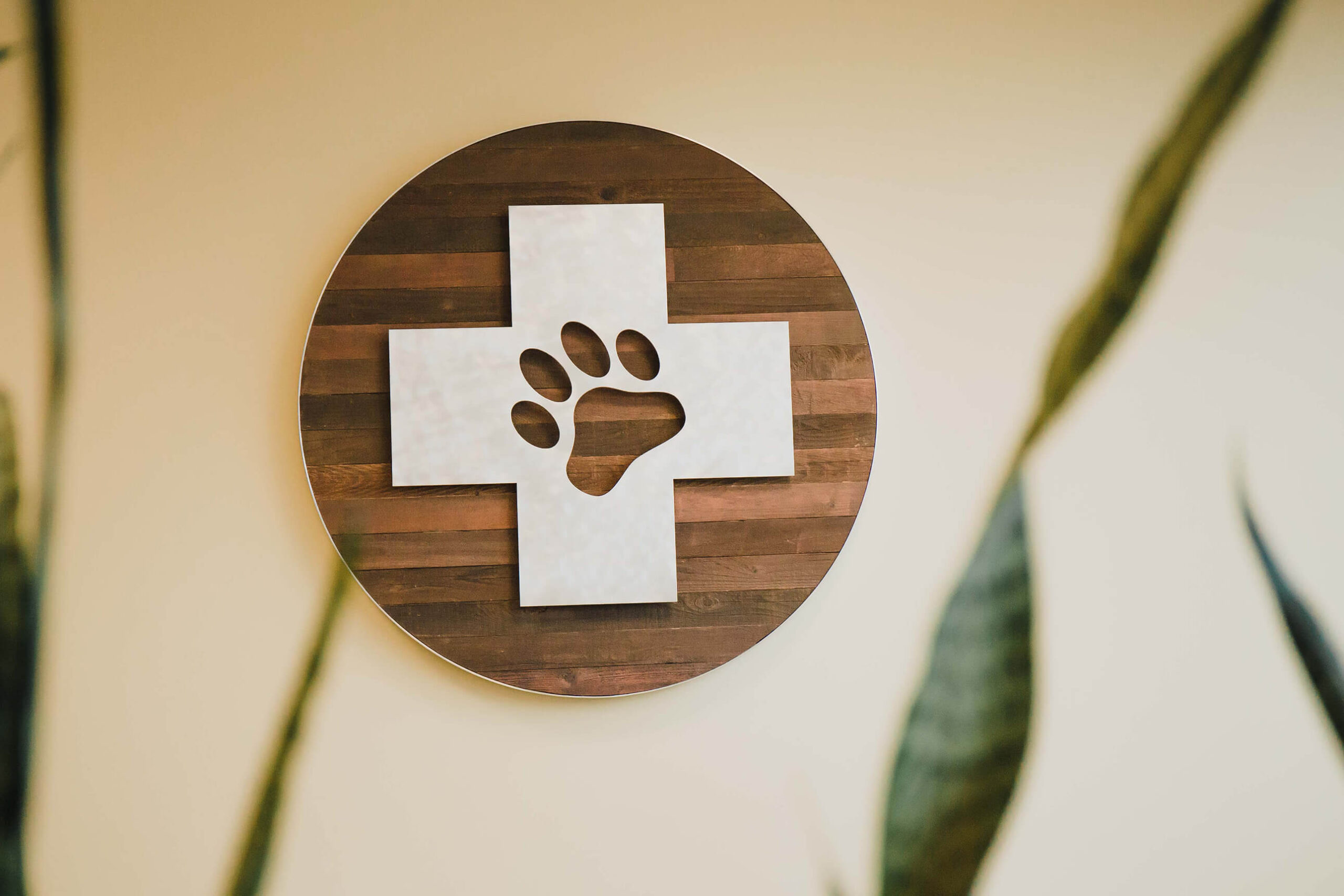 Veterinary Partners - Animal Emergency Care (AEC) Bellingham, WA