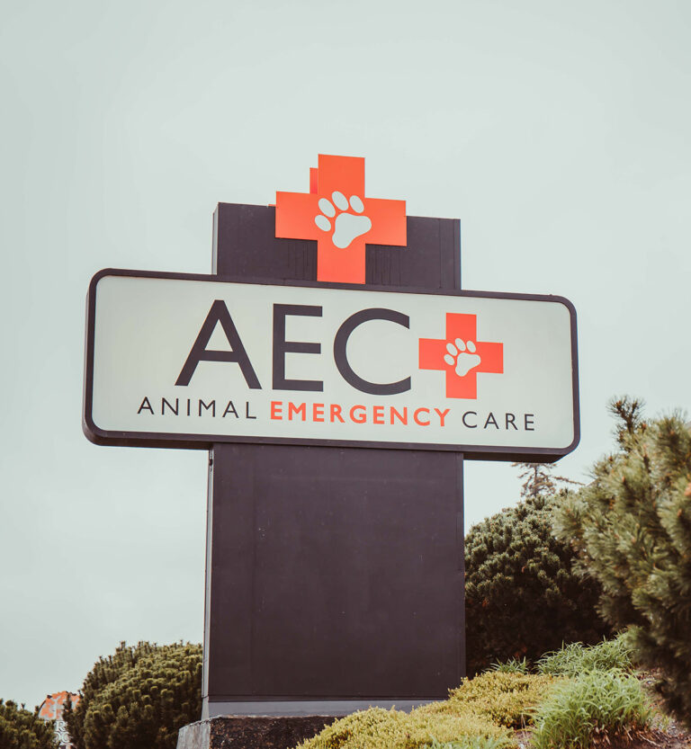 Veterinary Careers - Animal Emergency Care (AEC) Bellingham, WA