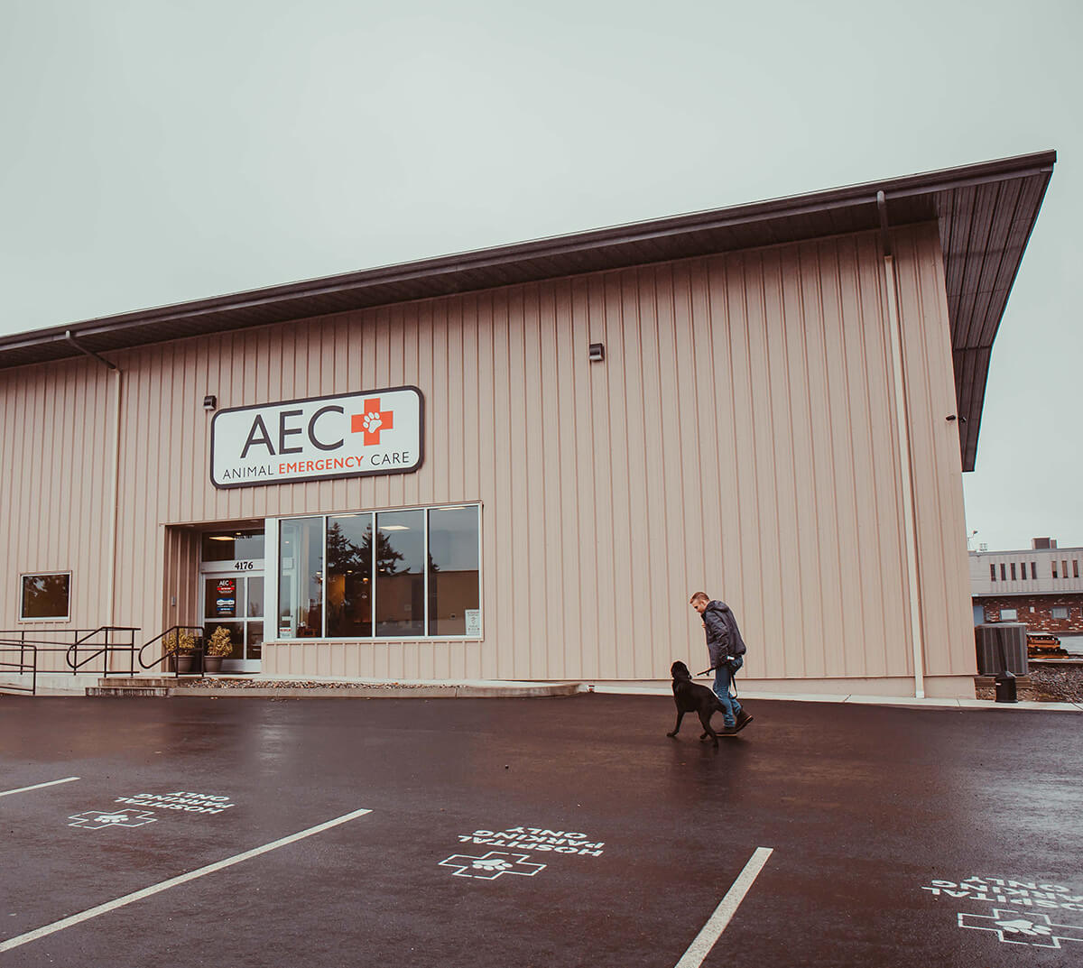 Veterinary Partners - Animal Emergency Care (AEC) Bellingham, WA