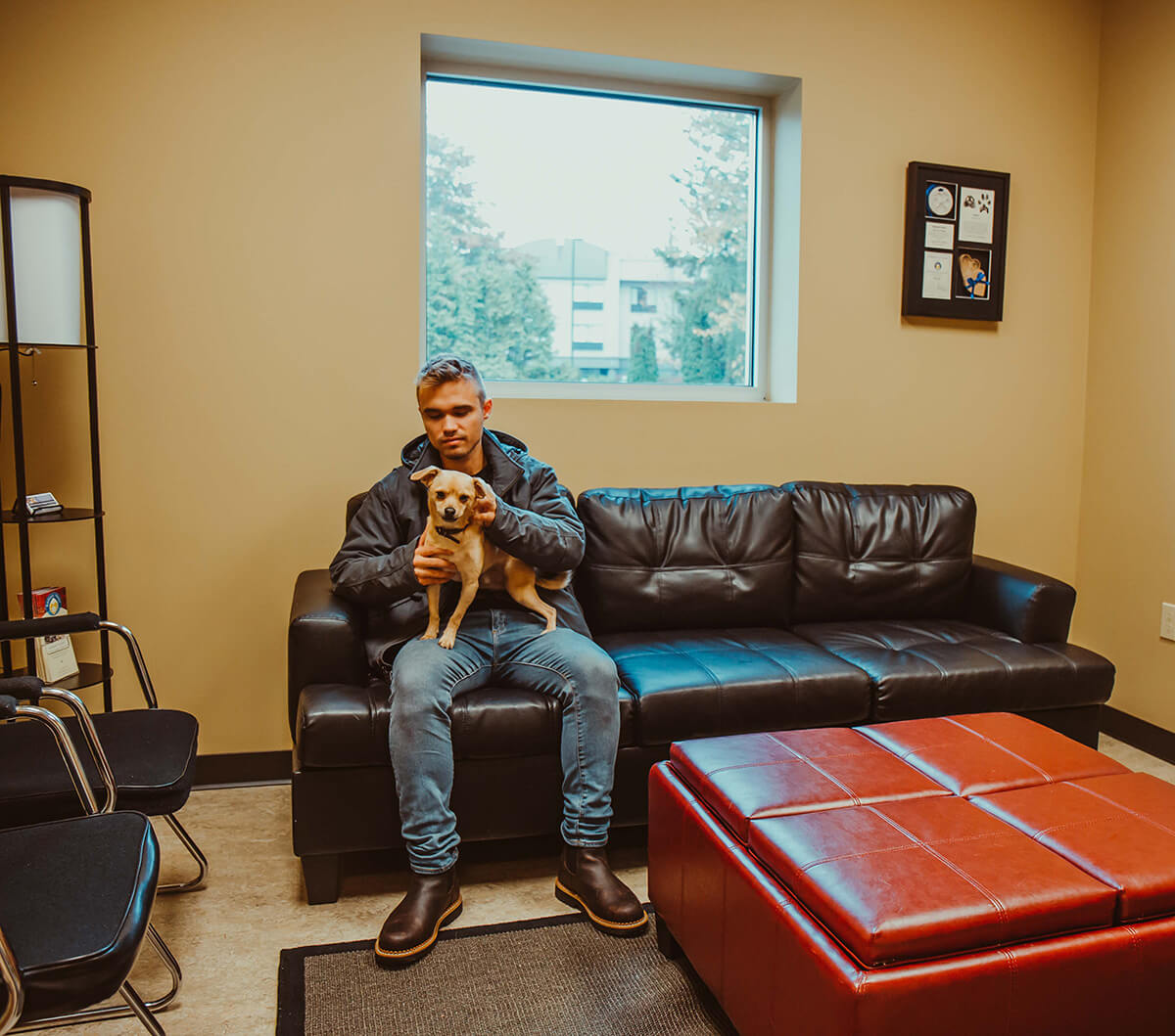 Veterinary Clients - Animal Emergency Care (AEC) Bellingham, WA