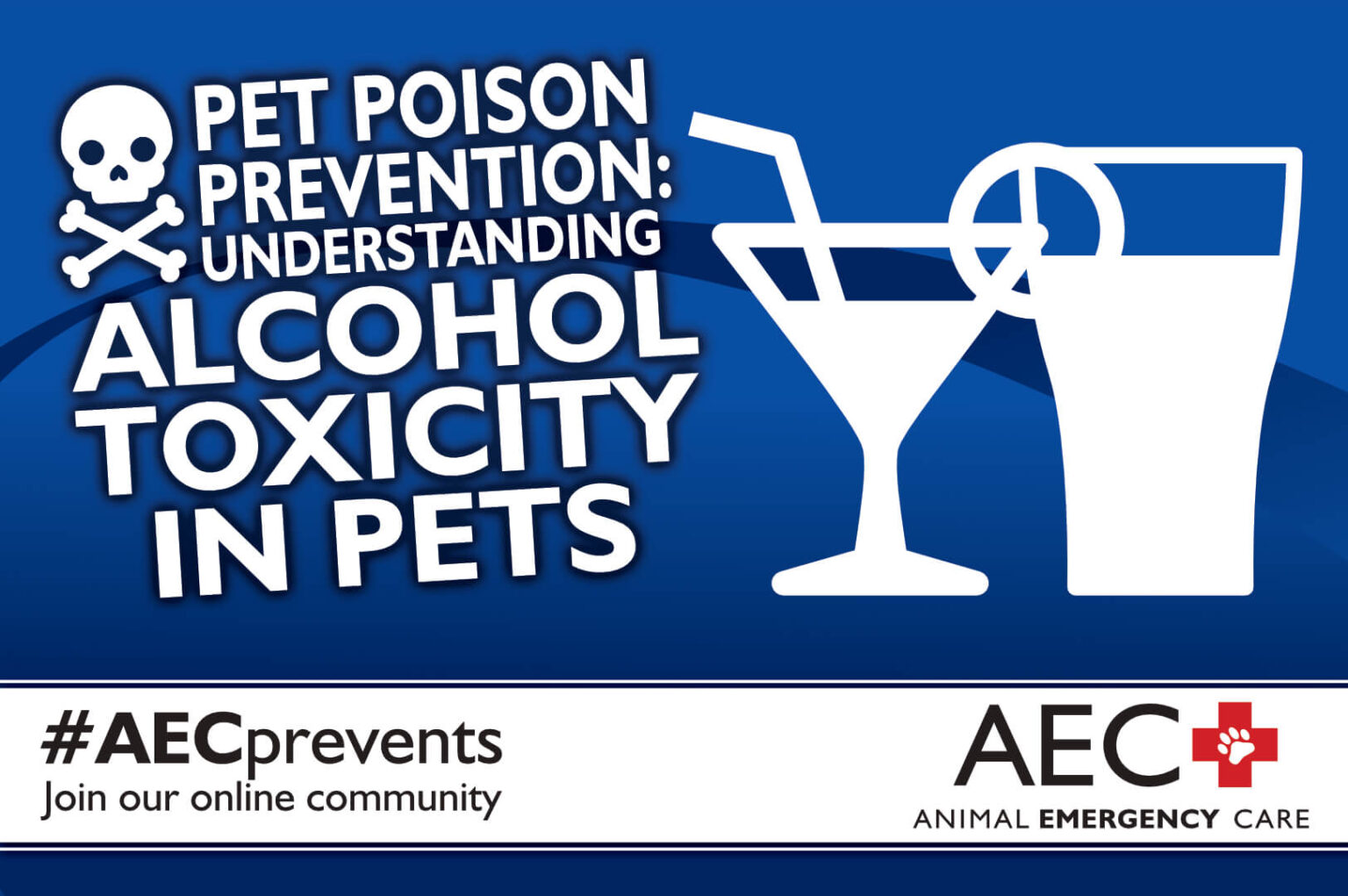 Pet Poison Prevention: Understanding Alcohol Toxicity in Pets - Animal ...