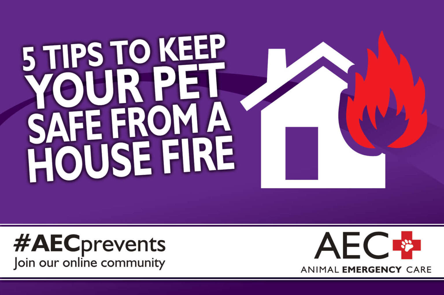 5 tips to keep your pet safe from a house fire - Animal Emergency Care ...