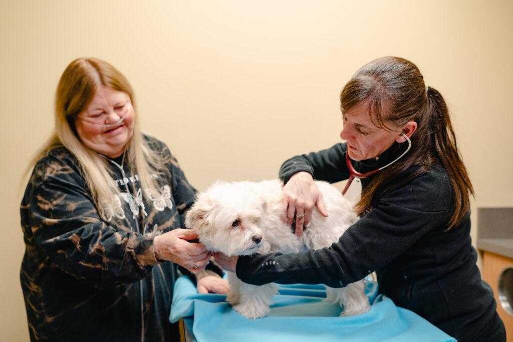 Veterinary Referral Network - Animal Emergency Care (AEC) Bellingham, WA