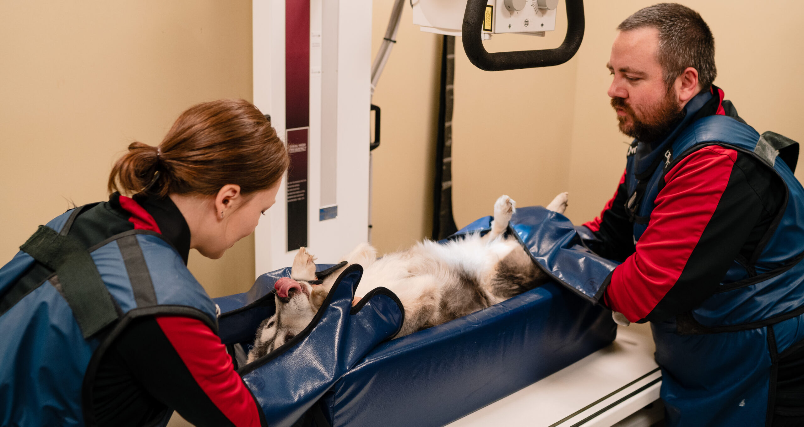 Veterinary Referral Network - Animal Emergency Care (AEC) Bellingham, WA