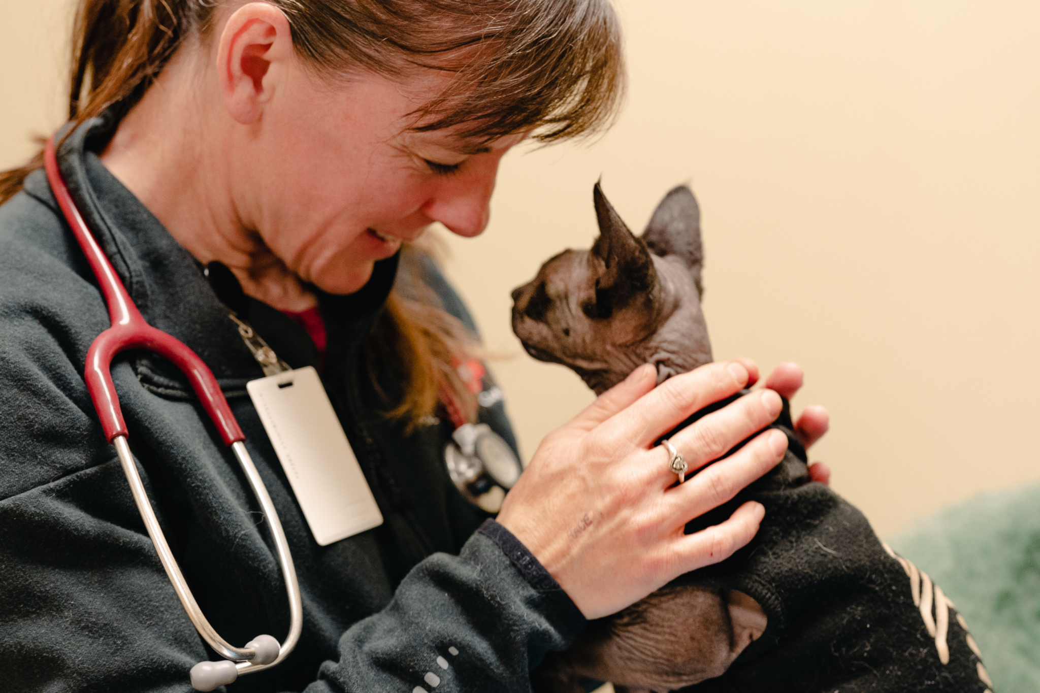 About Us - Animal Emergency Care (AEC) Bellingham, WA