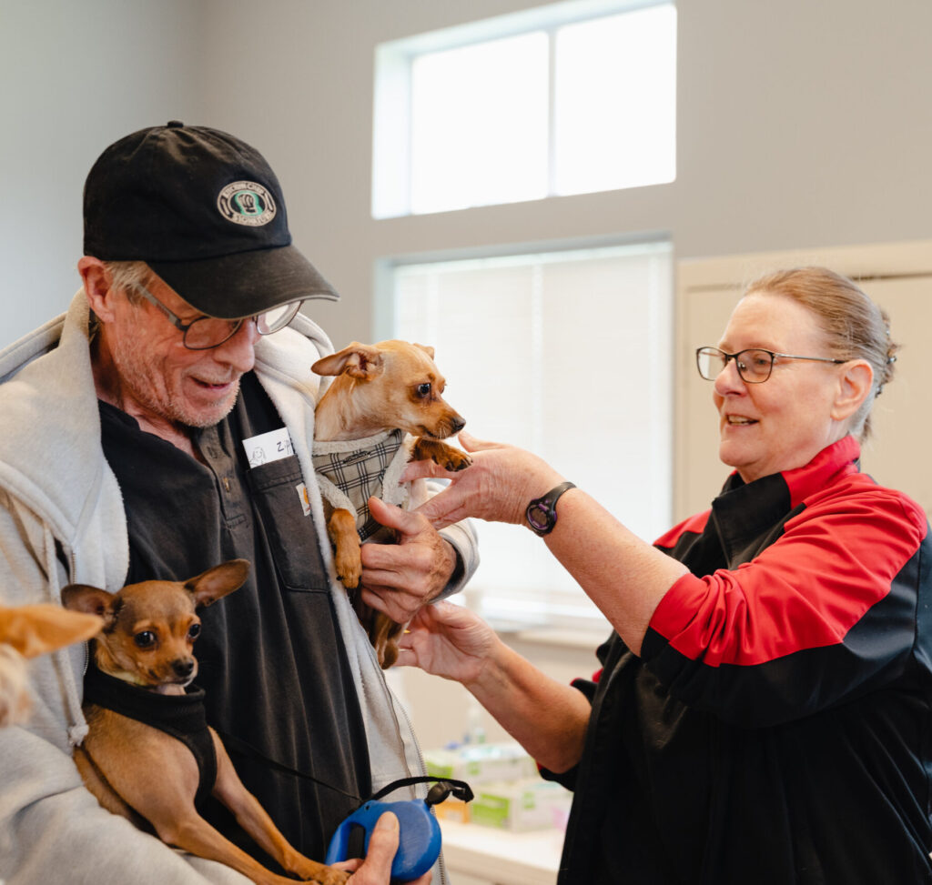 Pet Family Activities - Animal Emergency Care (AEC) Bellingham, WA